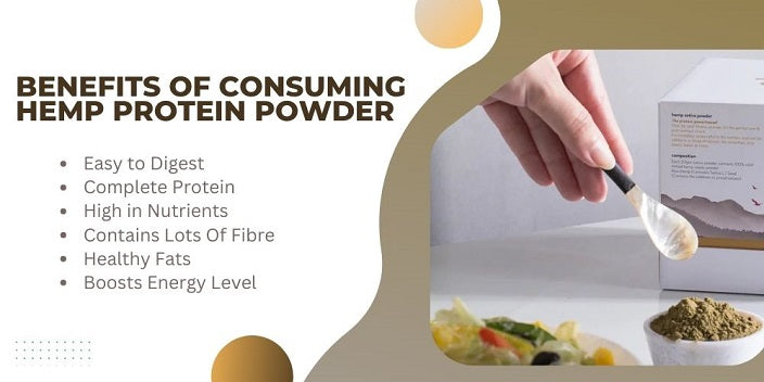 Know The Benefits of Consuming Hemp Protein Powder– The Trost