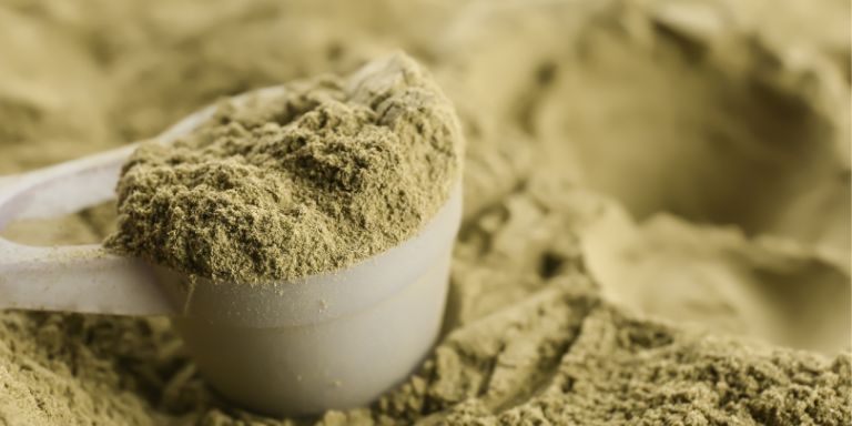 Hemp Protein Powder: Benefits, Uses, and Recipes– The Trost