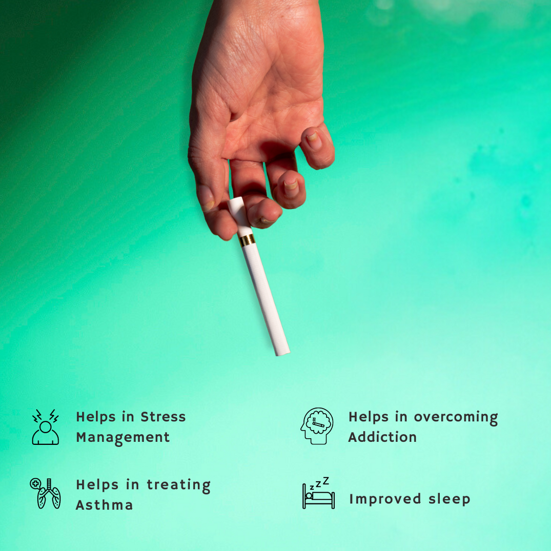 Hemp Herbal Cigarette (Smoky Rollen) | Hemp Cigarettes India– The Trost